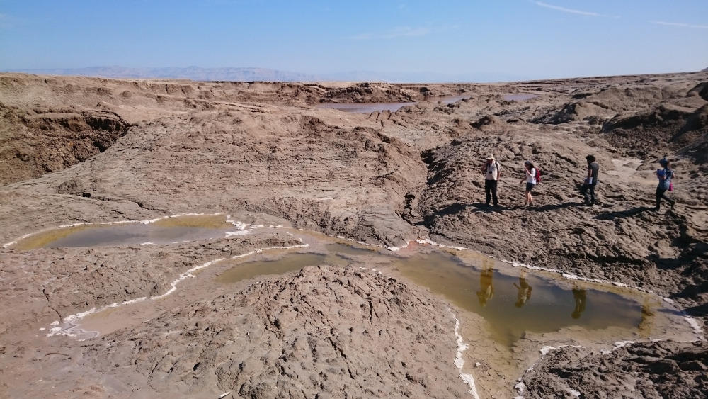 Stable Isotope Geochemistry Lab | The Fredy & Nadine Herrmann