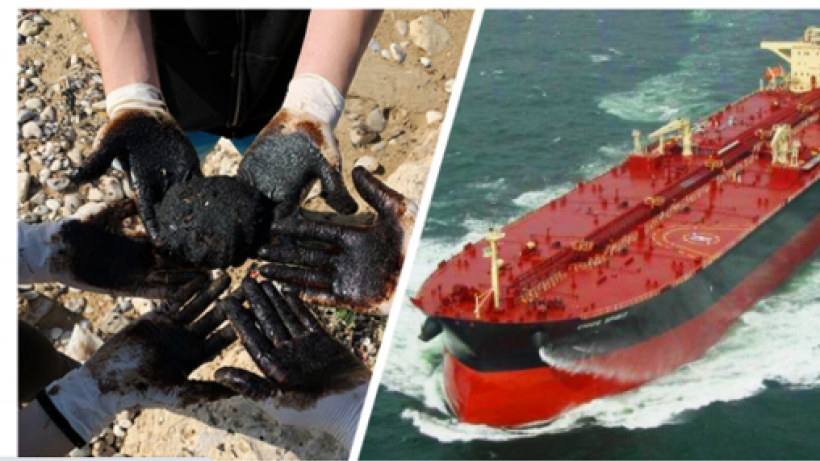 Institute of Earth Sciences